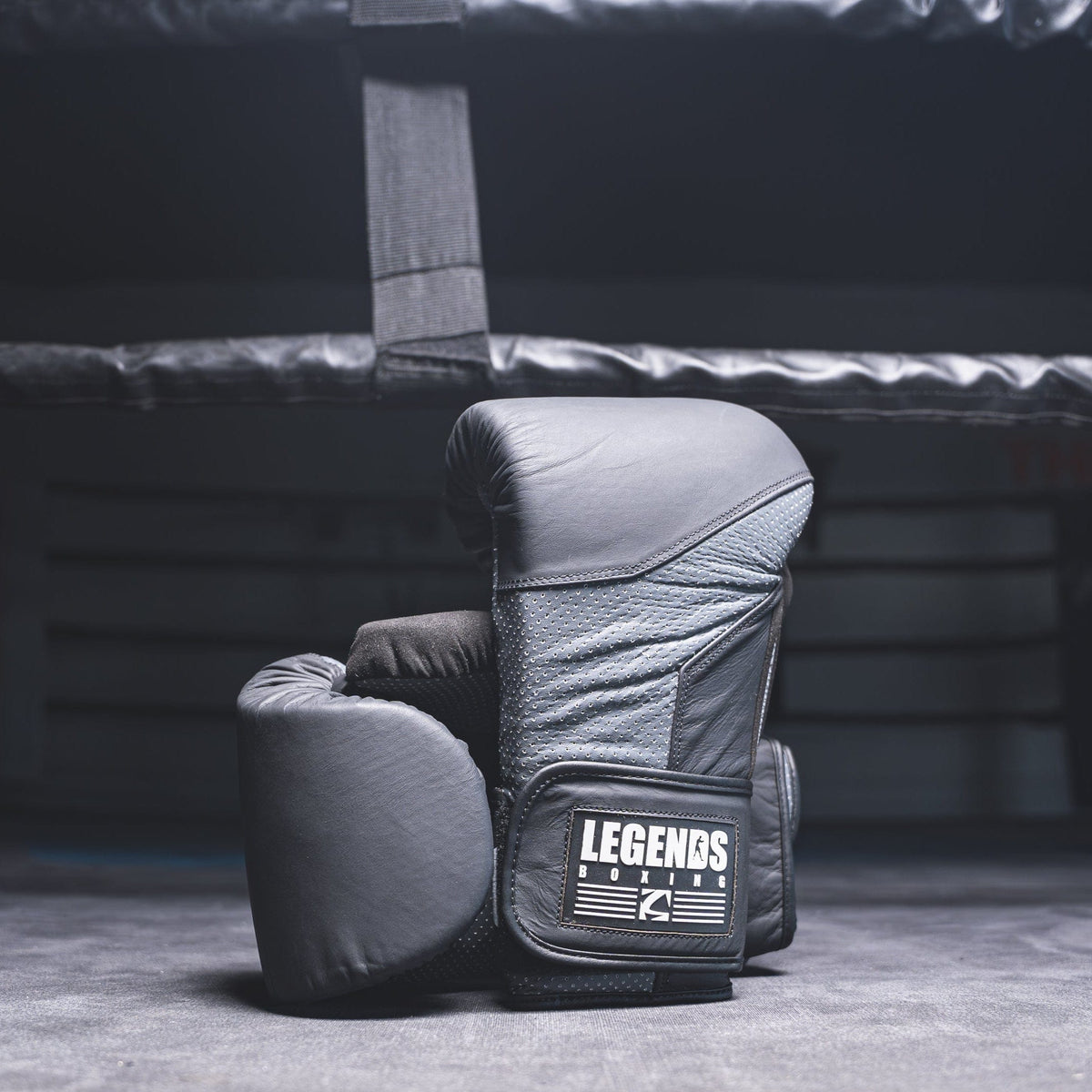 Luxe Boxing Glove – Legends Boxing Gear